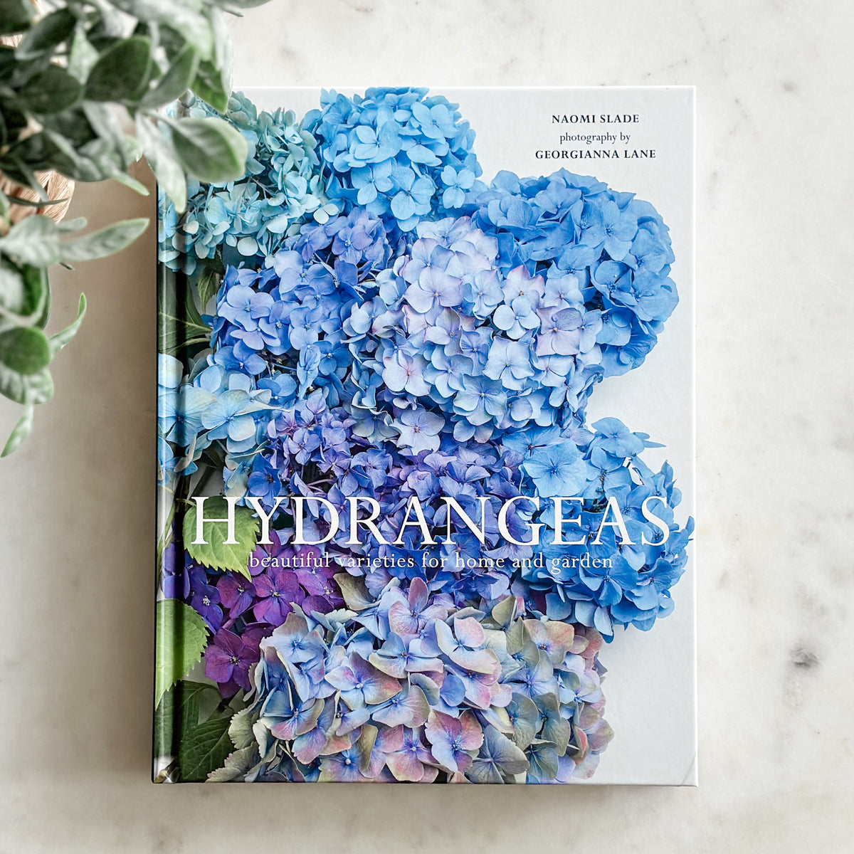 Hydrangeas Hardcover Book – One Cottage Way